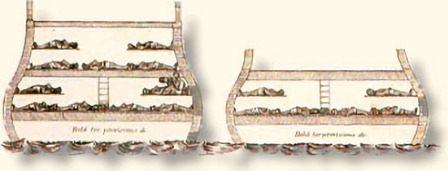 What I Saw Aboard a Slave Ship in 1829 - America's Black Holocaust Museum