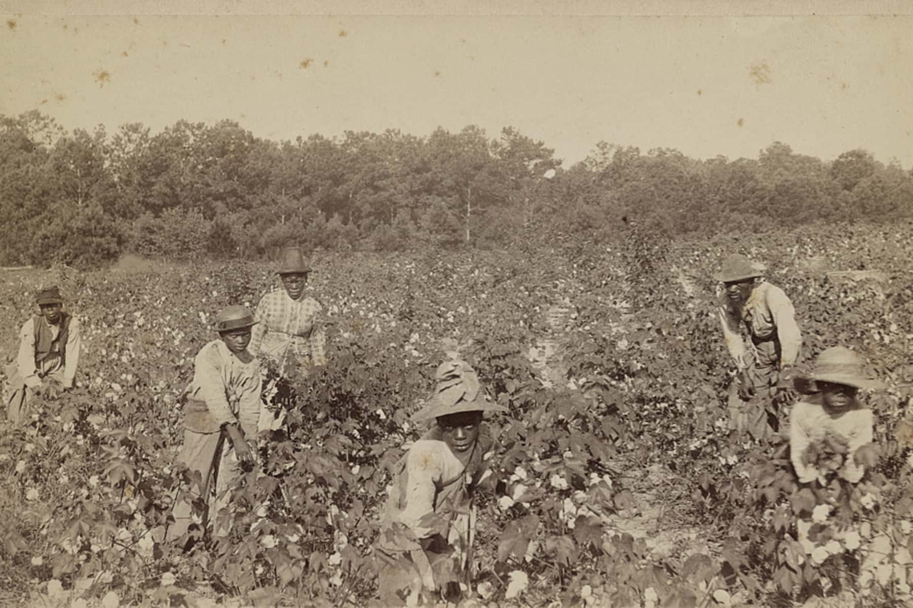 Slave-Built Infrastructure Continues to Generate Massive Wealth for ...