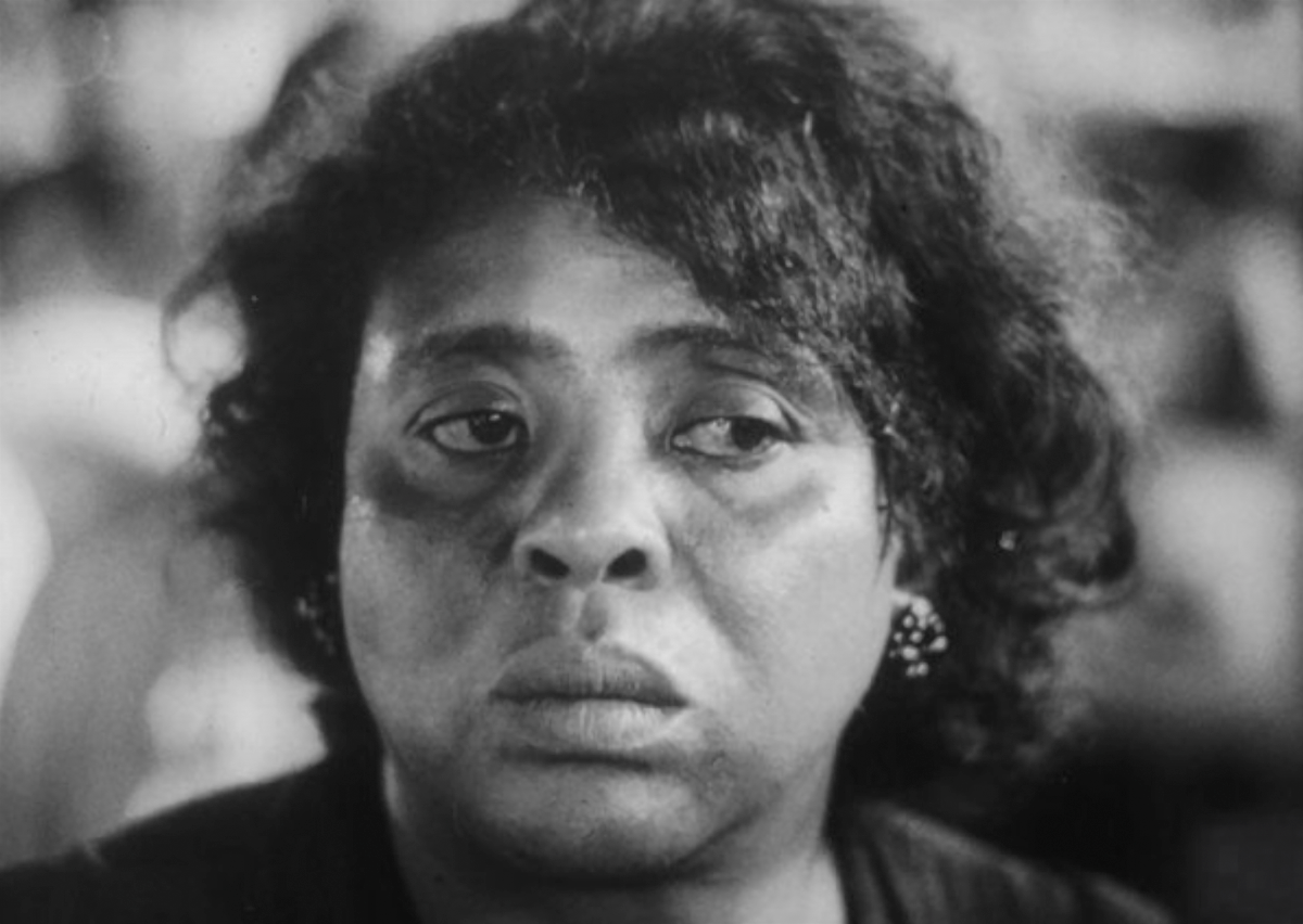 Freedom Summer - America's Black Holocaust Museum